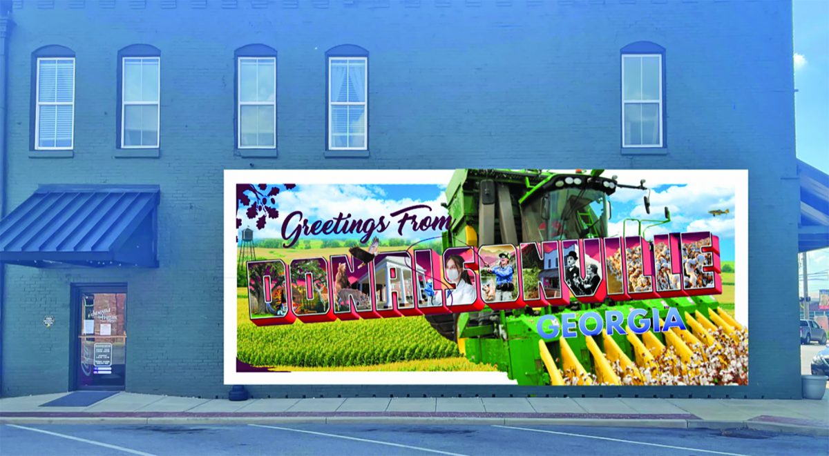 Grant awarded for two downtown murals – The Donalsonville News
