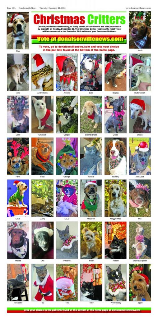 Vote for your favorite Christmas Critter – The Donalsonville News