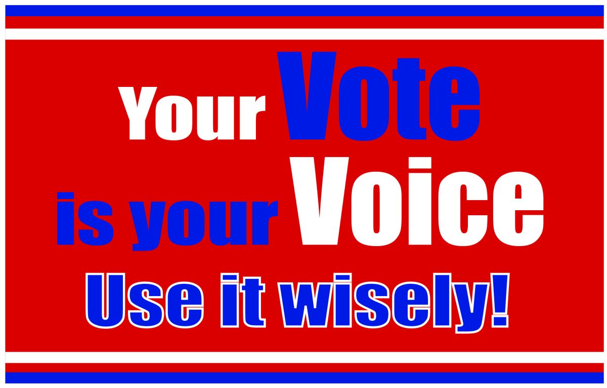 Your vote is your voice. Use it wisely! – The Donalsonville News